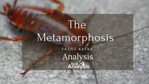 The Metamorphosis Themes and Analysis by Franz Kafka