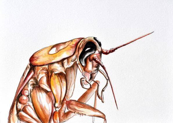 The Metamorphosis Character List | Book Analysis