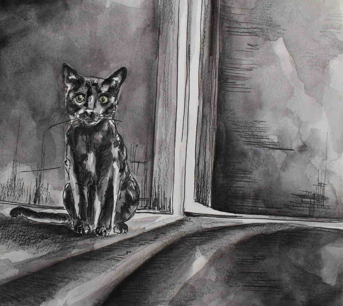 10 Important Characters in Coraline | Book Analysis