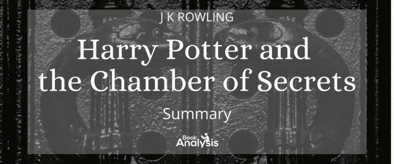 Harry Potter and the Chamber of Secrets: Plot Summary