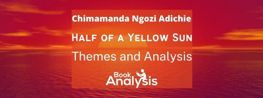 Half of a Yellow Sun Themes and Analysis | Book Analysis