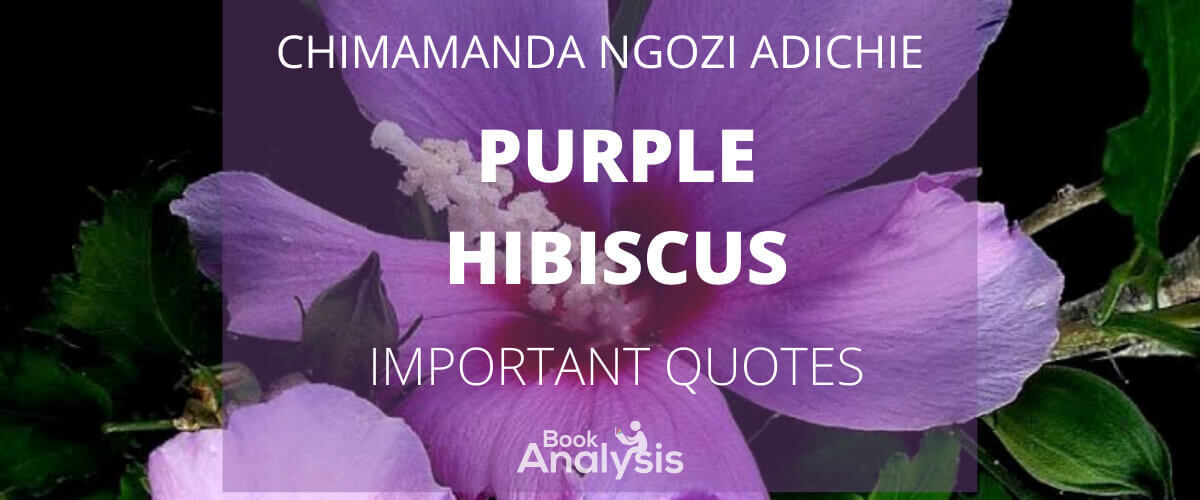 12 of the Best Purple Hibiscus Quotes | Book Analysis