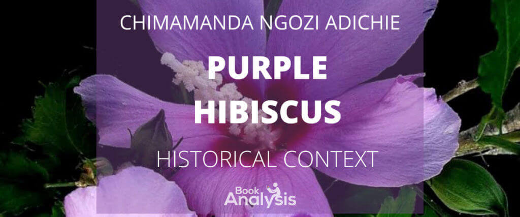 Purple Hibiscus Historical Context 📖 | Book Analysis